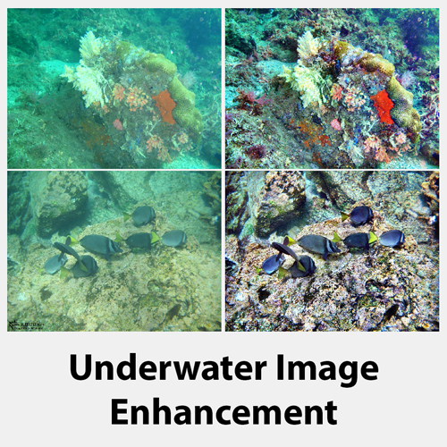 Underwater Image Enhancement using Contrast Limited Adaptive Histogram Equalization (CLAHE) and ...